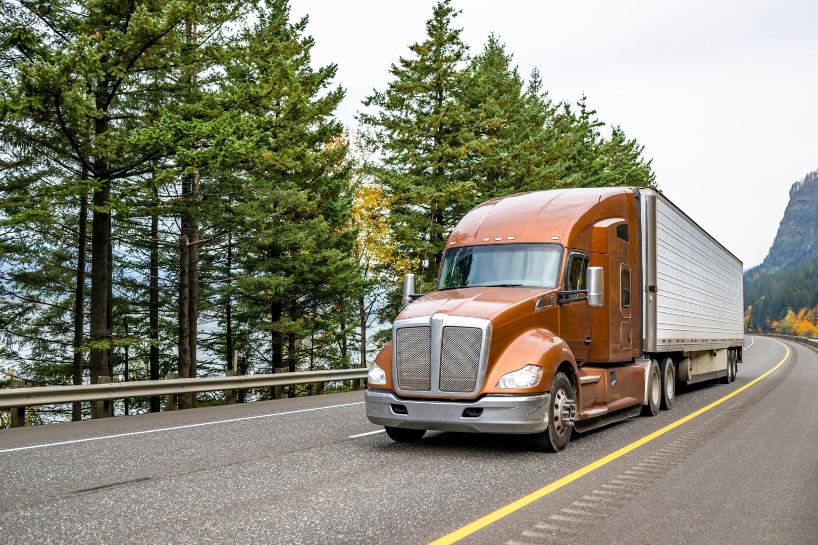 Elog Installation: Step-by-Step Installation Guide, Common Problems and Troubleshooting